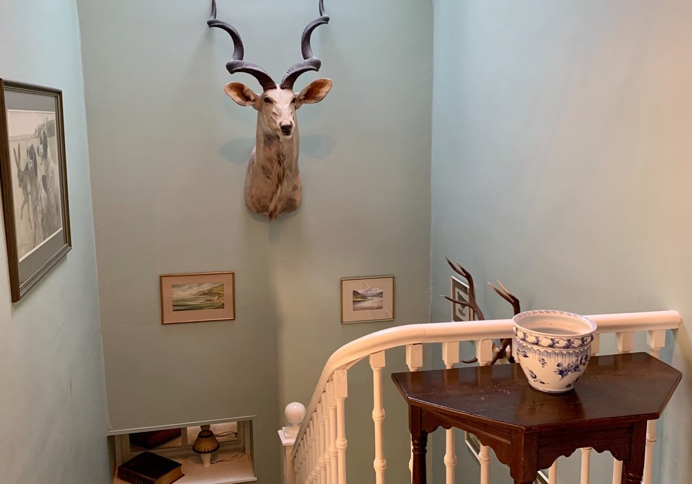Feith Mhor Lodge, Carrbridge - Feith Mhor Lodge & Holiday Cottages
