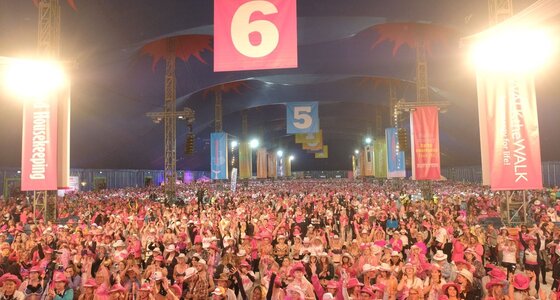 Edinburgh Moonwalk, part of Moonwalk Scotland