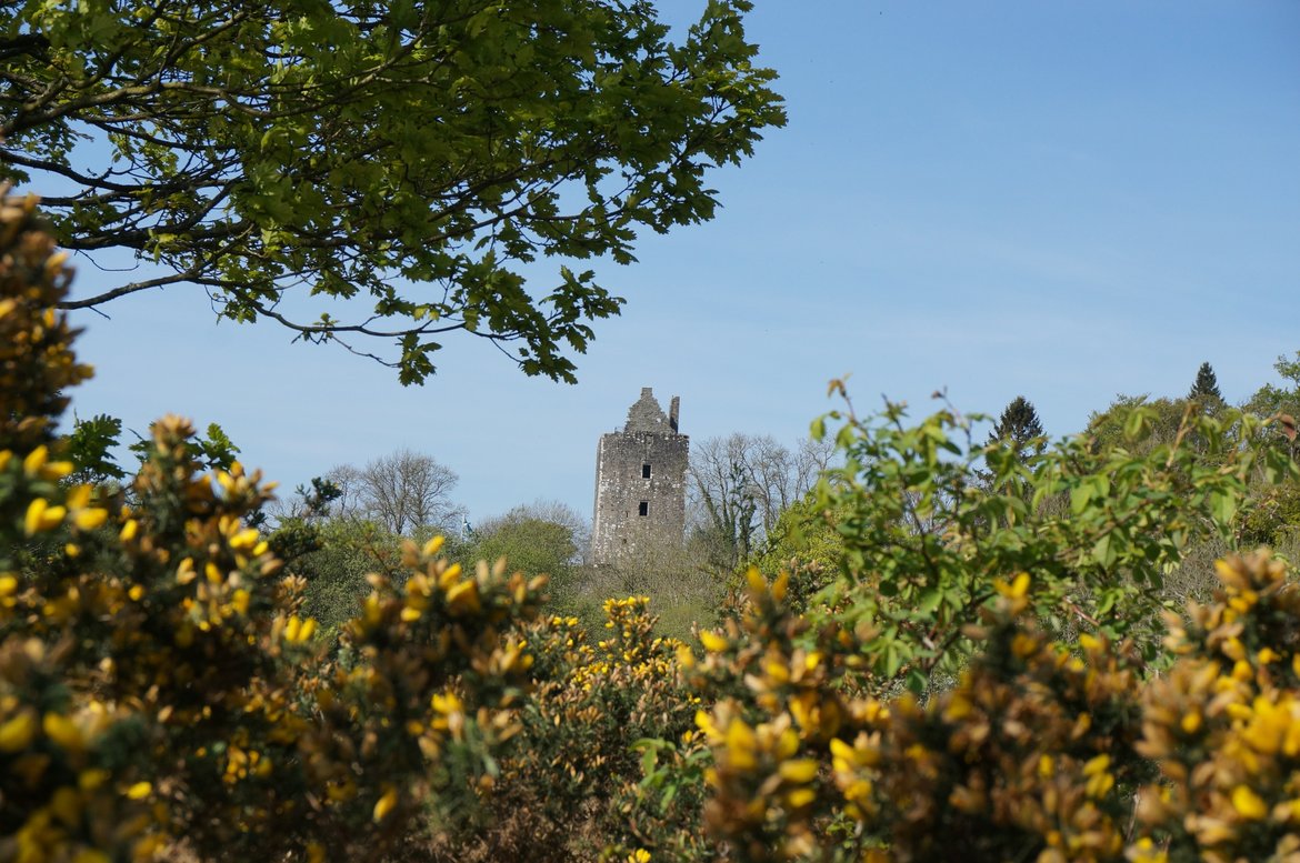 Visit Cardoness Castle | The Edinburgh Address